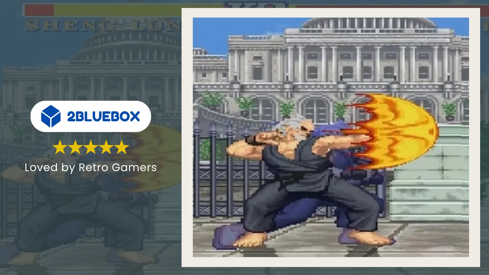 Who Is Shen Long? The 90s EGM Prank That Changed Street Fighter Histor ...